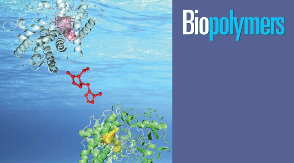 Call for Nominations: Biopolymers Murray Goodman Memorial Prize ...