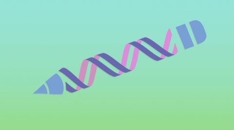 Structure–Function Comparisons and Implications for Genome Editing ...