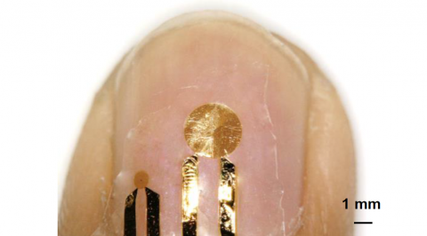 Wearable Fingernail Sensor Provides Hotbed of Thermal Data - Advanced ...