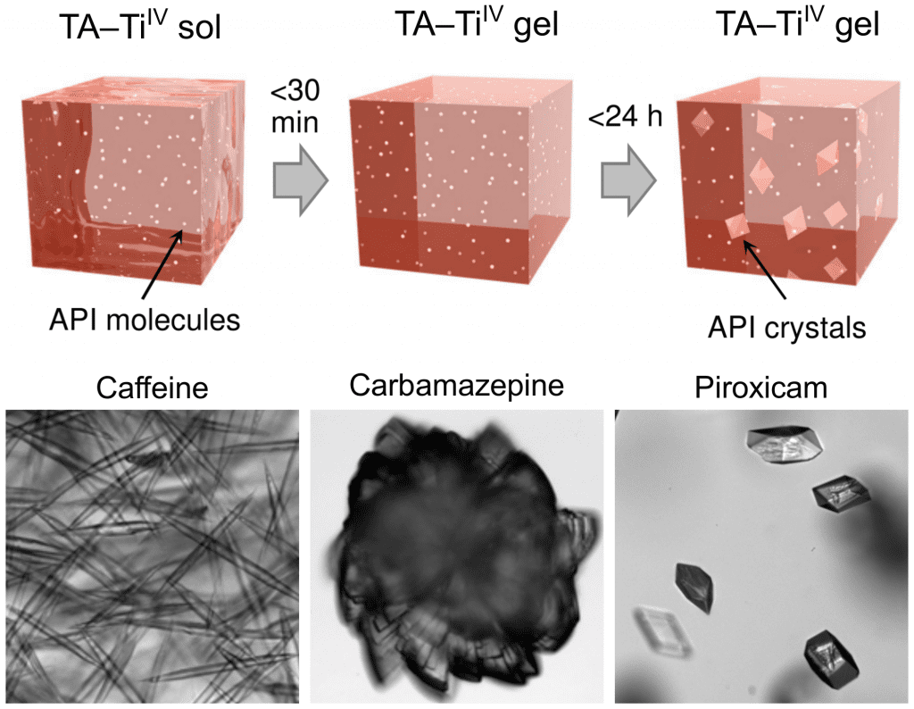 Gel-Mediated Crystallization of Active Pharmaceutical Ingredients ...