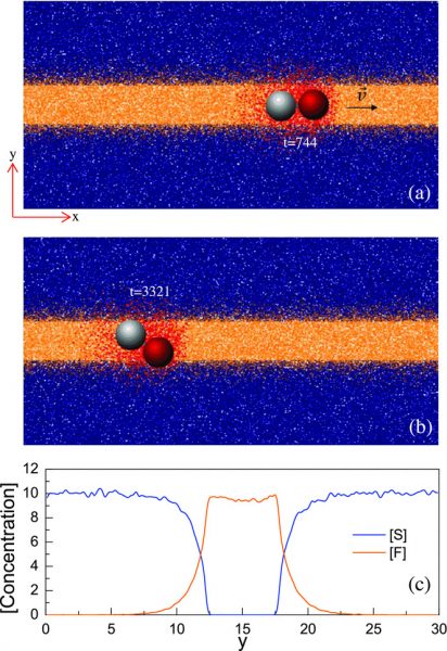 Understanding the Motion of Chemically Powered Motors - Advanced ...