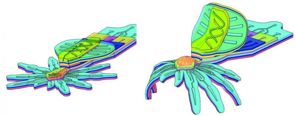 Injection-Stimulated Soft Robotic Spiders - Advanced Science News
