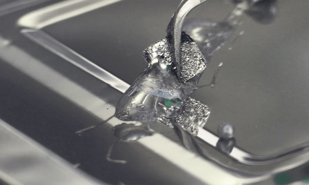 Nanoflake Arrays of Lithiophilic Metal Oxides for the Ultra-Stable ...