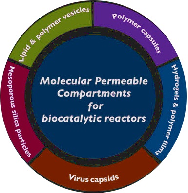 Nanofactories: Evolution of Drug Delivery Systems - Advanced Science News