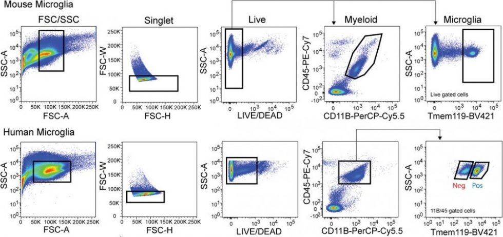 The Evolution of RNA Structural Probing Methods - Advanced Science News