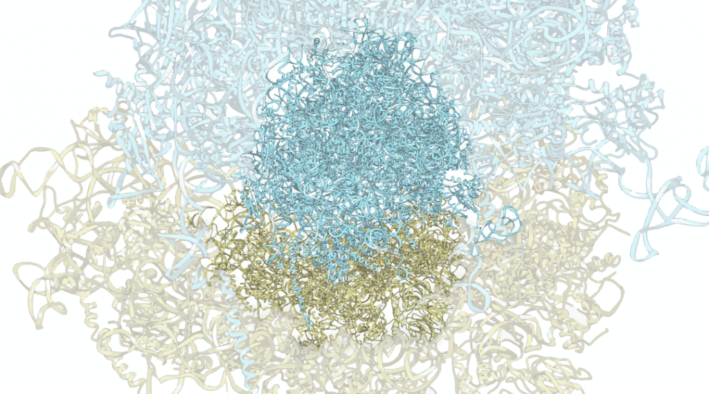 Translational Control By Poxviruses - Advanced Science News