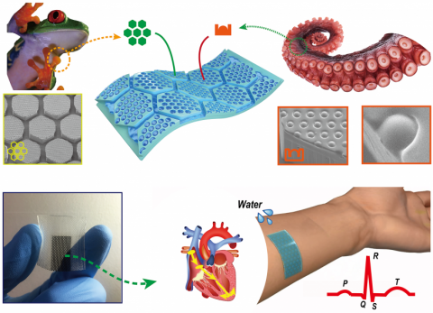 The Natural Solution to a Sticky Problem: Wearable Skin Patches ...
