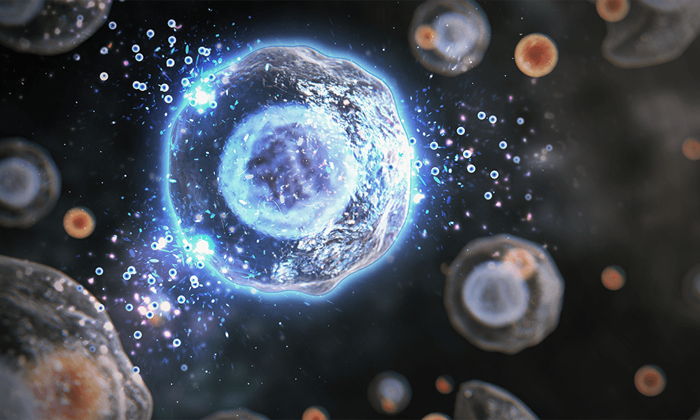 Bio-Interfaces for Immuno-Engineering - Advanced Science News