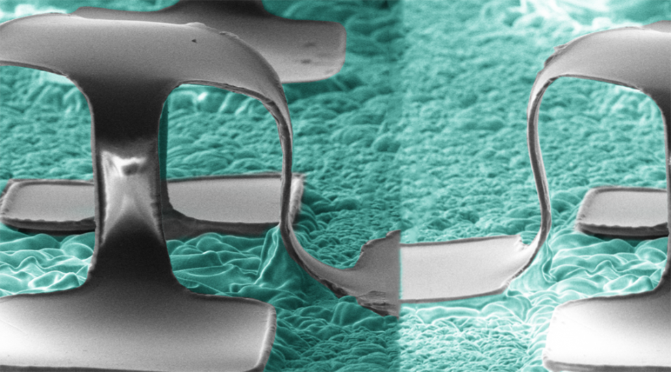 Bio-inspired Kirigami Architectures for Resilient Miniature Sensors ...