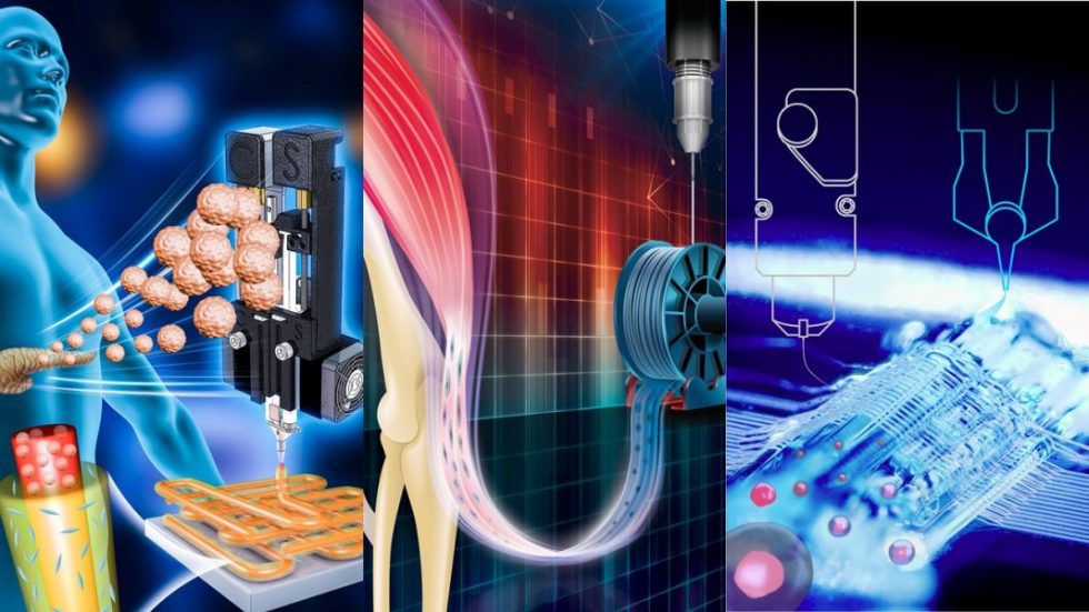 Building Blocks for Biofabricated Models - Advanced Science News