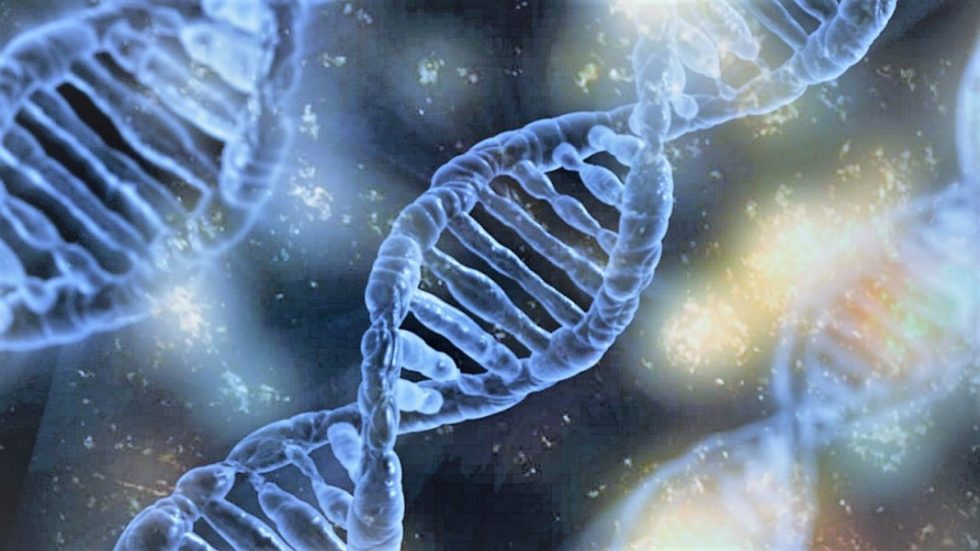 DNA Nanotechnology Goes Biomedical - Advanced Science News