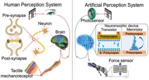 Ionotronic Neuromorphic Devices for Bionic Neural Networks - Advanced ...