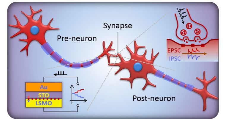 Think Like a Brain Using Artificial Synapses - Advanced Science News