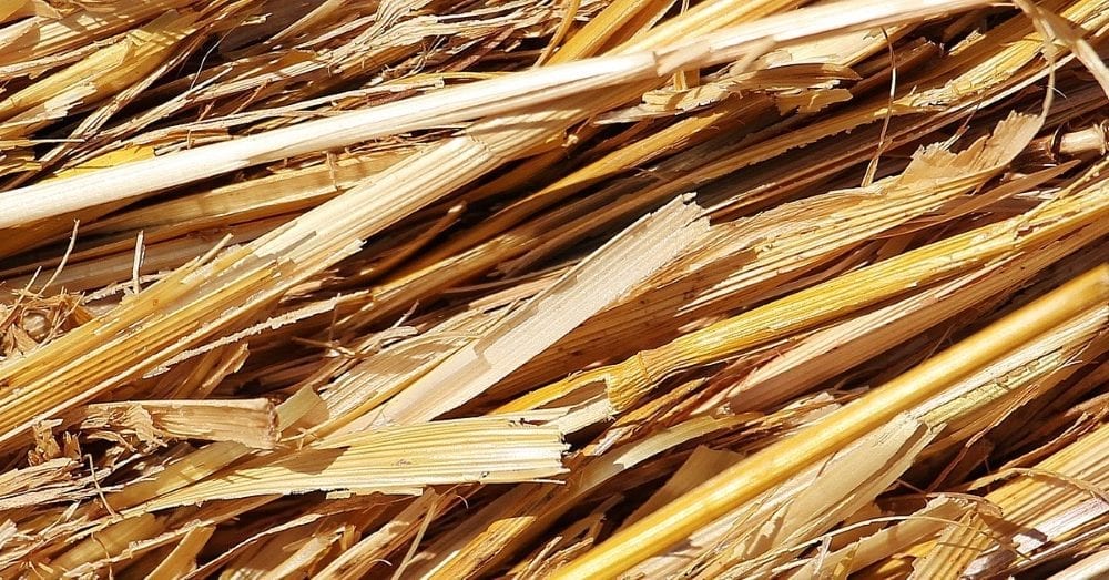 Improving Straw Paper Production - Advanced Science News