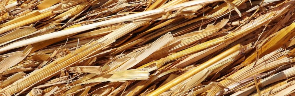 Improving Straw Paper Production - Advanced Science News