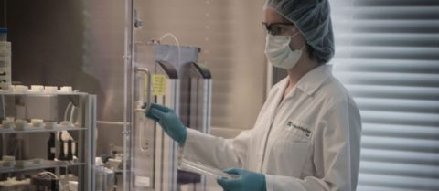 Machines with a Sense of Smell - Advanced Science News