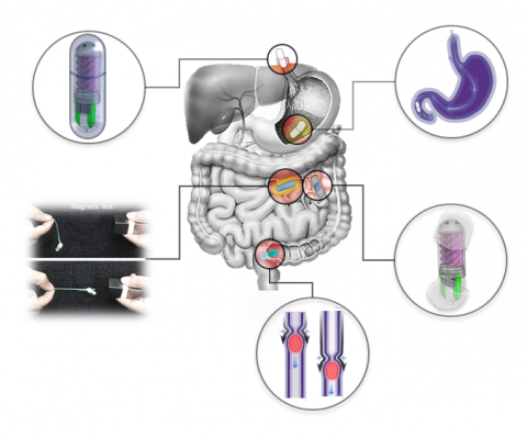 A Pill to Non-Invasively Sample the GI Tract - Advanced Science News