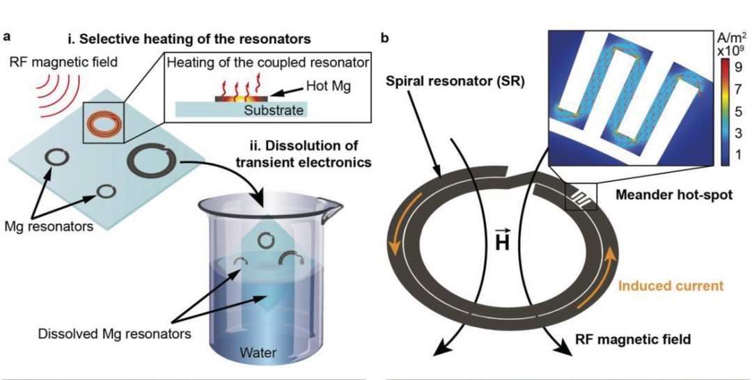 Biodegradable Circuits for Wireless Implantable Devices - Advanced ...