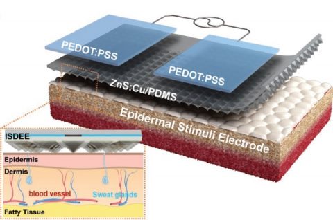Skin-based Electronic Sensor Doubles as an Interactive Display