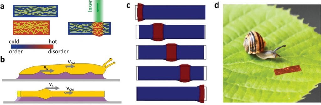 Light-Powered Robotic Snails - Advanced Science News