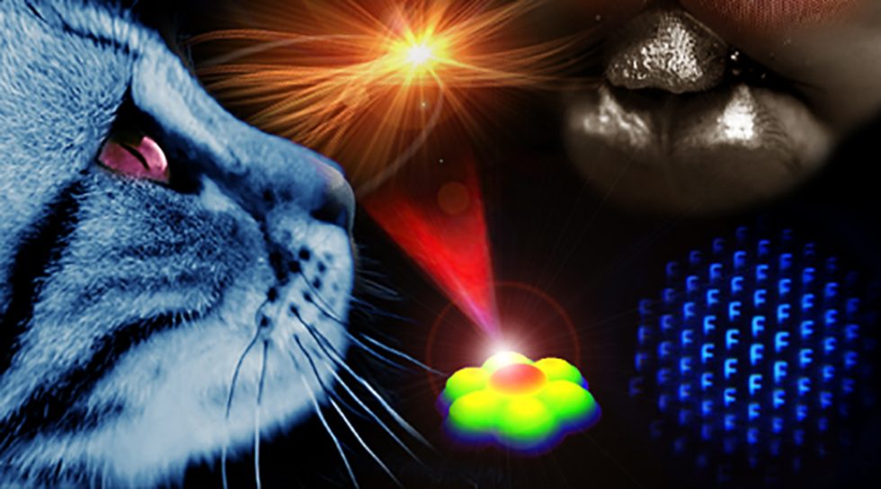 Smart Compound Eyes Enable Tunable Imaging - Advanced Science News