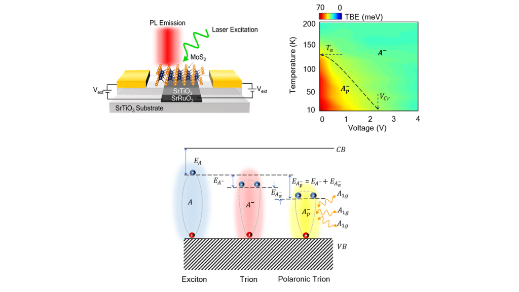 Discovery of an Unusual Quasiparticle in a 2D Material - Advanced ...