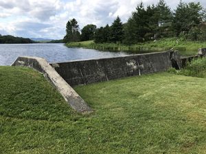 Little Dams, Big Problems - Advanced Science News