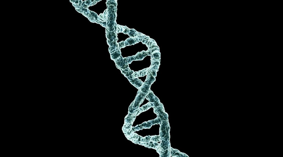That “junk” DNA … is full of information! - Advanced Science News