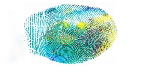 Pushing the Limits of Technology to Enhance Electronic Skins - Advanced ...