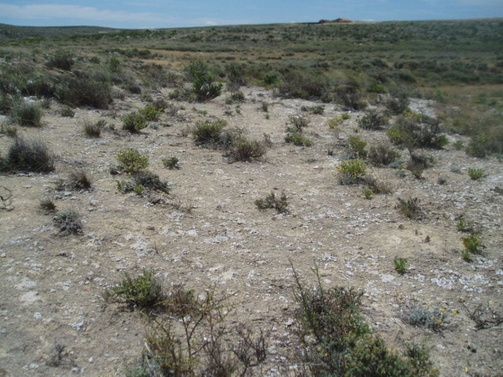 Land Versus Atmosphere Dry-Out: What Matters More for Droughts ...