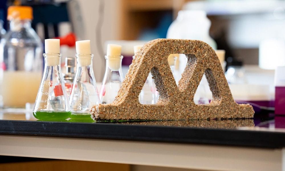 Scientists create living concrete from bacteria and sand - Advanced ...