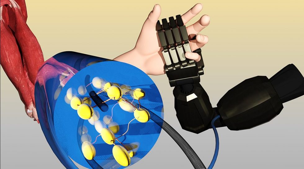 Actuating soft robots: Agile and forceful - Advanced Science News