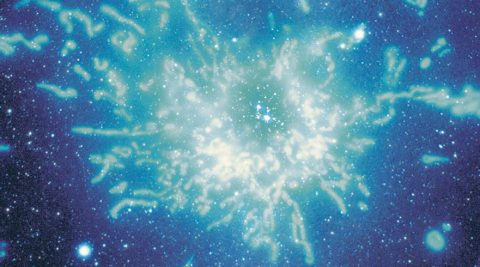 A radical view of organelle evolution - Advanced Science News