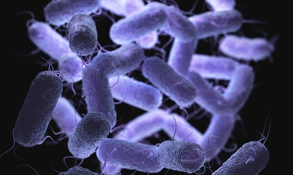 Autonomous microtrap for pathogens - Advanced Science News