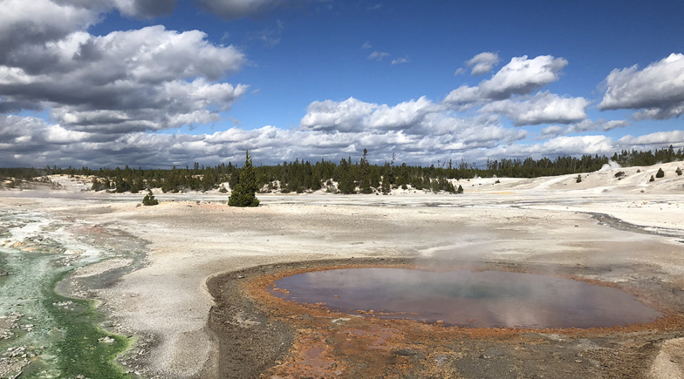 What ancient microbes can tell us about the environment they inhabited ...