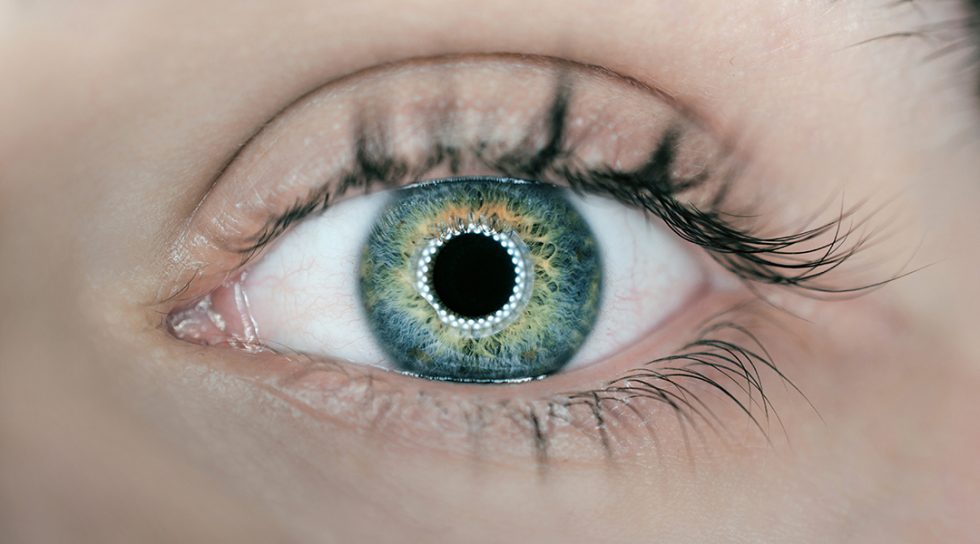 Wearable electronic contact lenses as non-invasive brain sensors ...