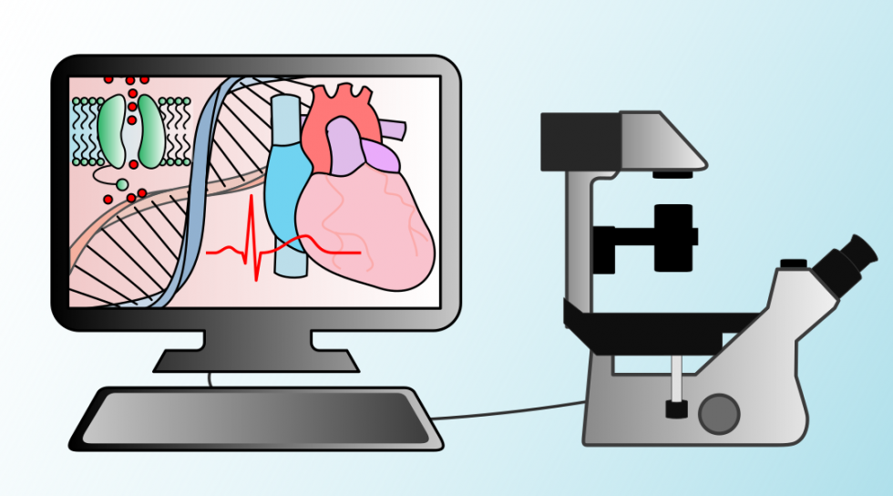 Calibrating computer models at the heart of cardiac research - Advanced ...
