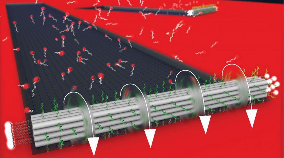 New DNA origami motor breaks speed record for nano machines - Advanced ...