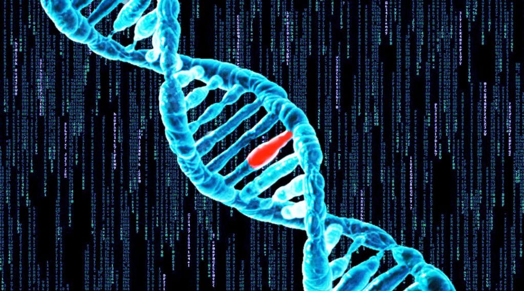Computer modeling reveals details of how cells fix damage to our DNA ...