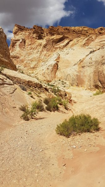 Is the river really dry? Scientific interpretations of zero flow ...