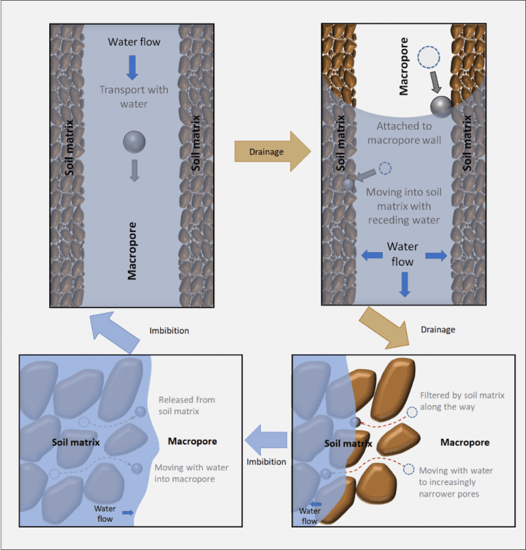 Colloid transport through soil: Moving through “gaps” with “waves ...