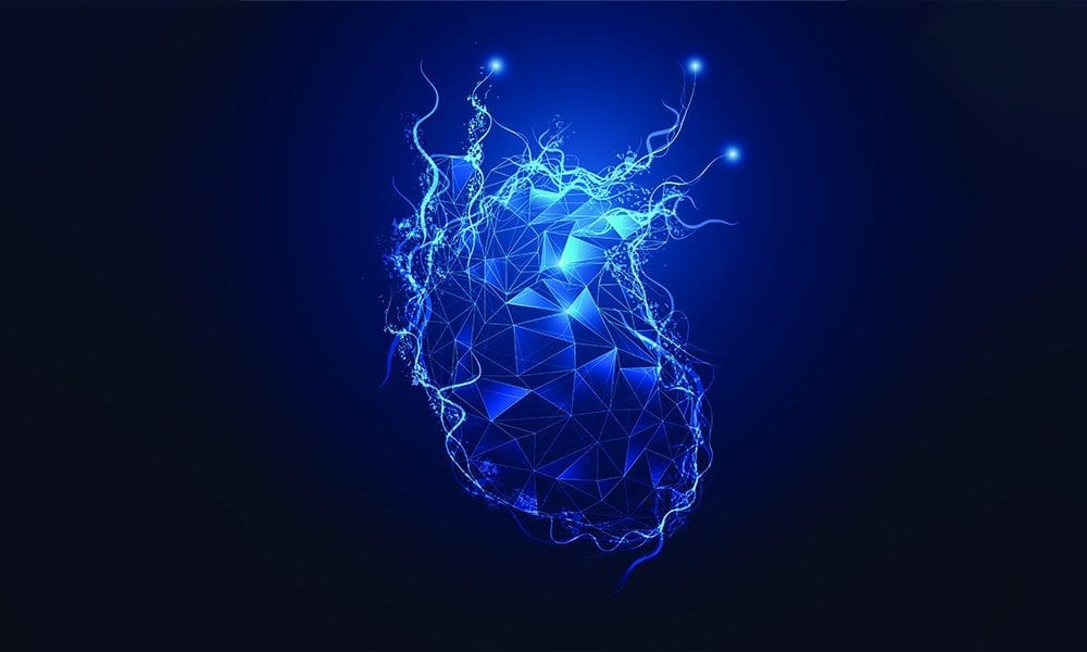 Micro-/Nanotechnology - Advanced Science News