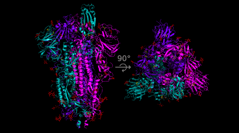 Tracking and analysis of SARS-CoV-2 spike protein mutations - Advanced ...