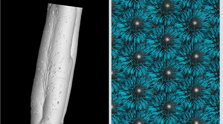 3D printing with nanoparticles - Advanced Science News