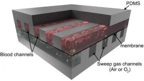 Portable artificial lungs — breathing for you when you cannot ...