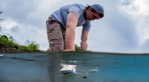 The effects of ocean warming - Advanced Science News