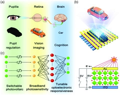 Adaptive vision for self-driving cars - Advanced Science News