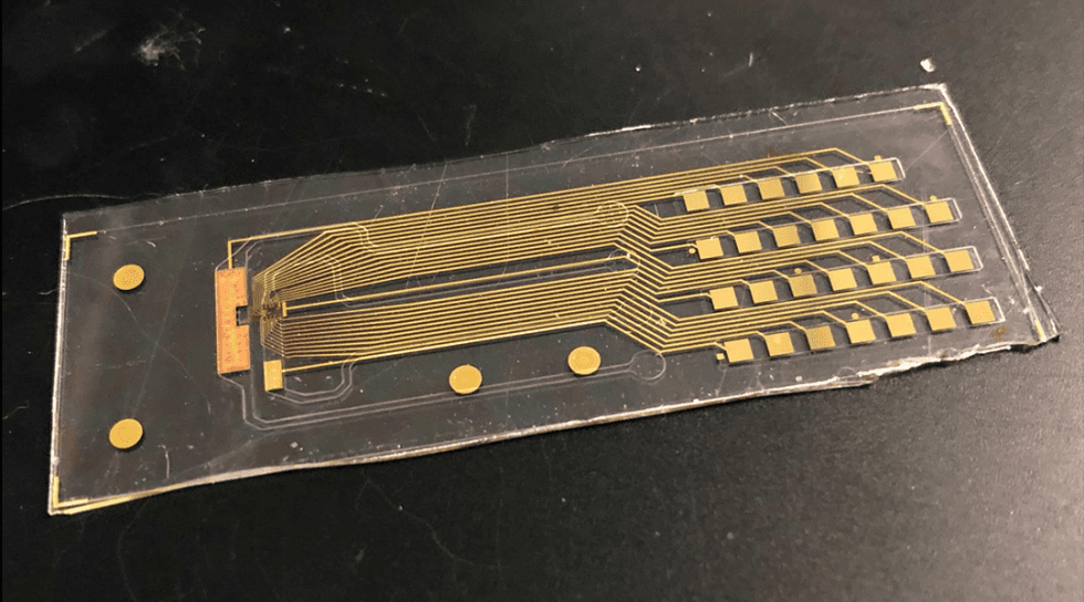 Bioelectronic device achieves unprecedented control of cell membrane ...