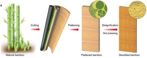 A plant to help the planet: A strong, tough, and scalable material from ...