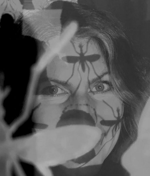 Lee Haines, Author at Advanced Science News